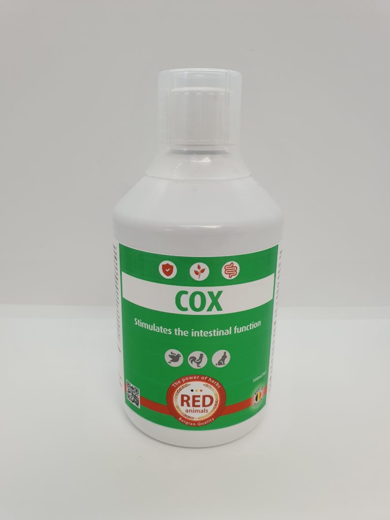 Cox 250ml RED ANIMAL's - الأليف ElAlif